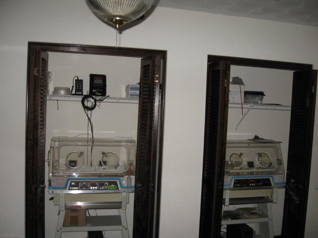 Avian Incubation | Hyacinth Macaw Aviary