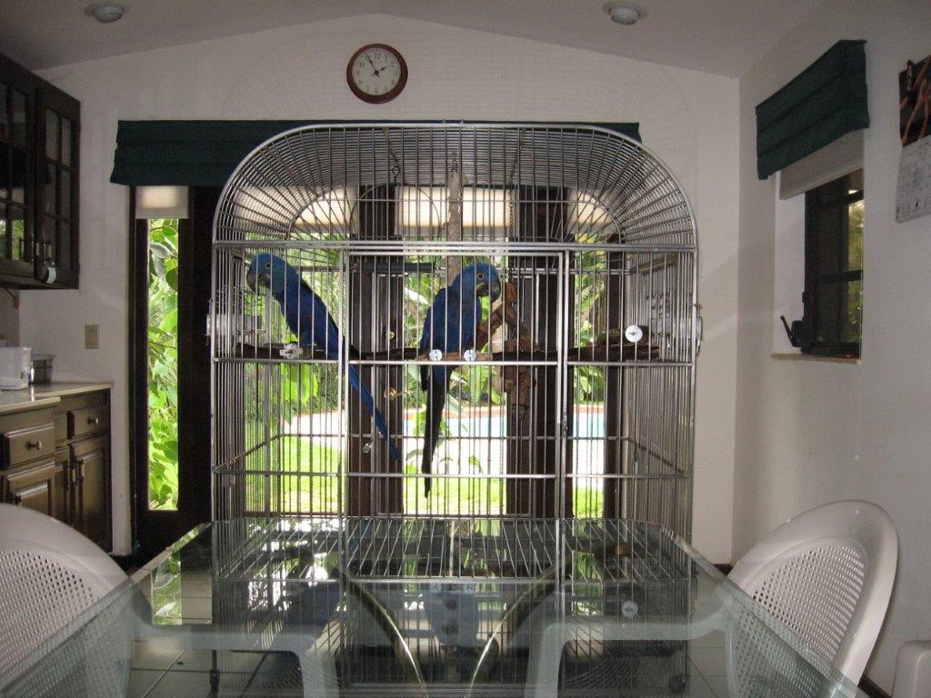 Hyacinth Macaw Shelters | Hyacinth Macaw Aviary